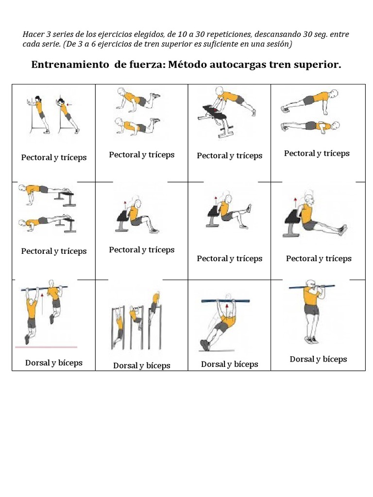 Entrenamiento de Fuerza | PDF | Extremidades (anatomía) | Sistema musculoesquelético