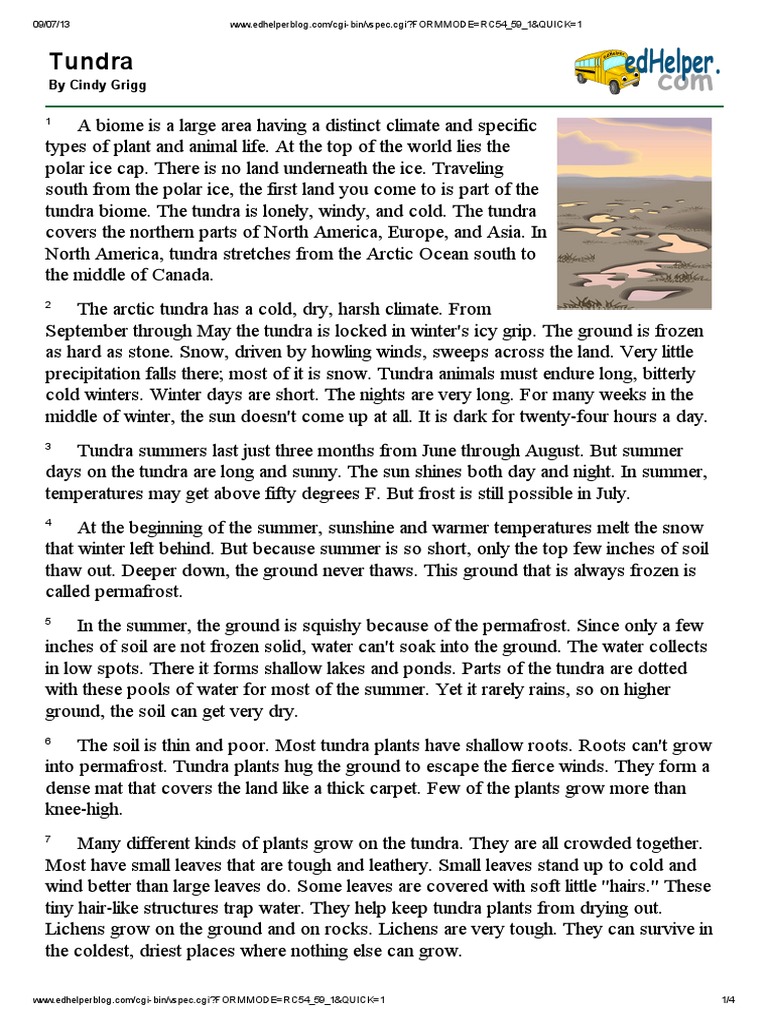 Tundra-3rd Cycle | PDF | Earth Sciences | Nature