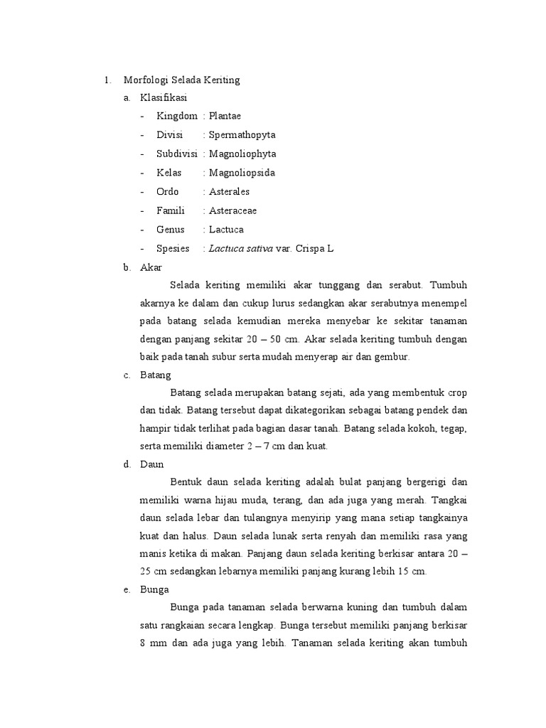 Morfologi Selada Keriting | PDF