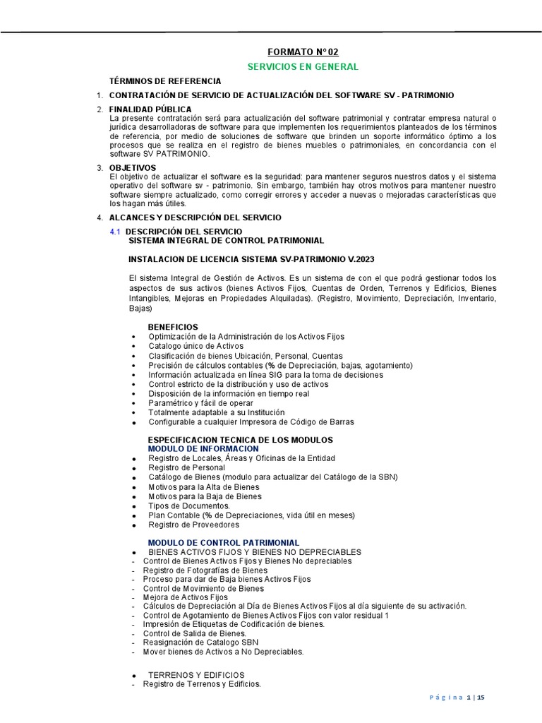 TDR Servicio | PDF | Software | Soporte técnico