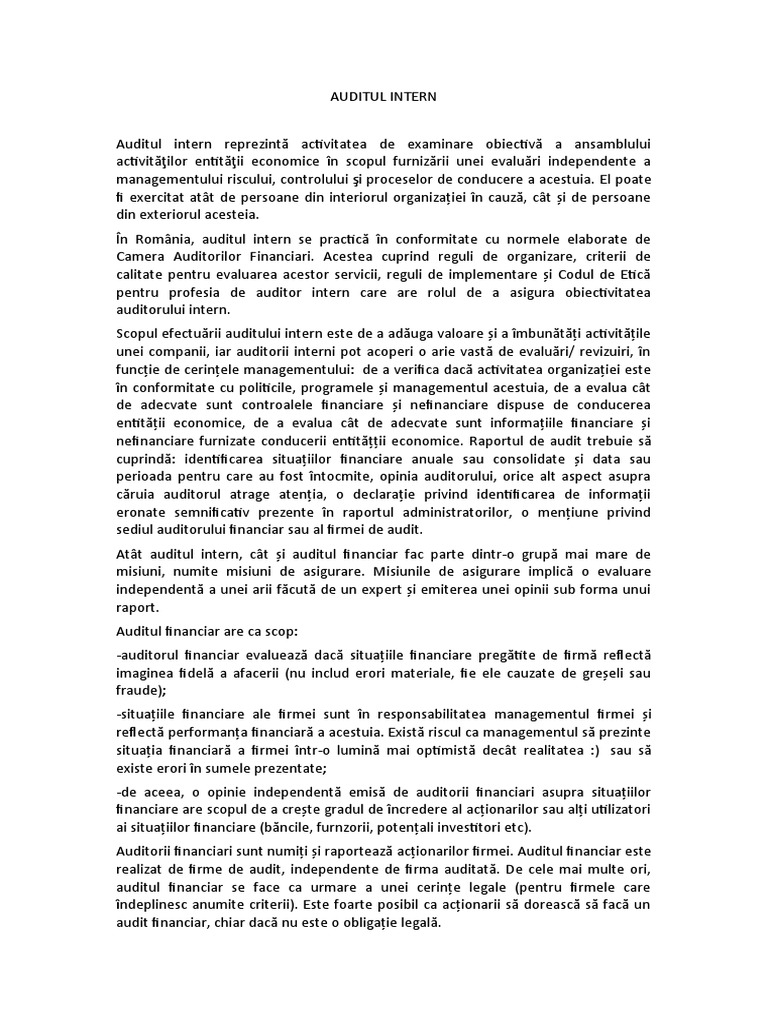 Audit Intern - Referat | PDF