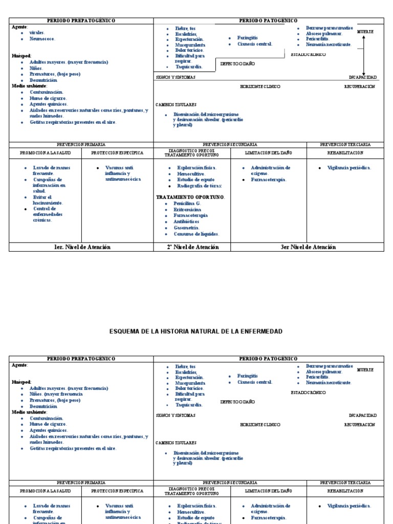 Formato Historia Natural de La Enfermedad | PDF | Neumonía | Tos Formato Historia Natural de La Enfermedad | PDF | Neumonía | Tos