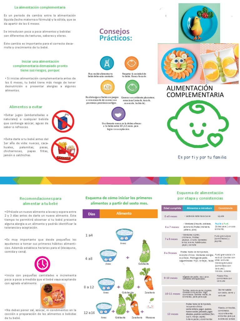 Triptico Alimentacion Complementaria | PDF | Alimentos | Vegetales