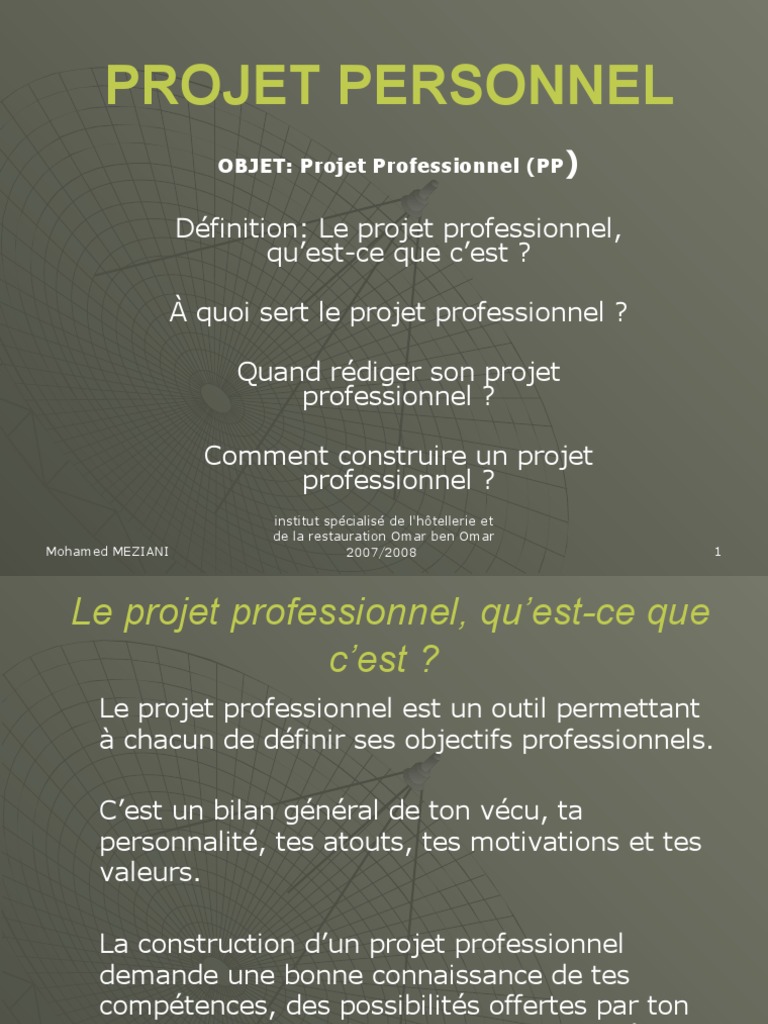 Projet Professionnel - Powerpoint | PDF