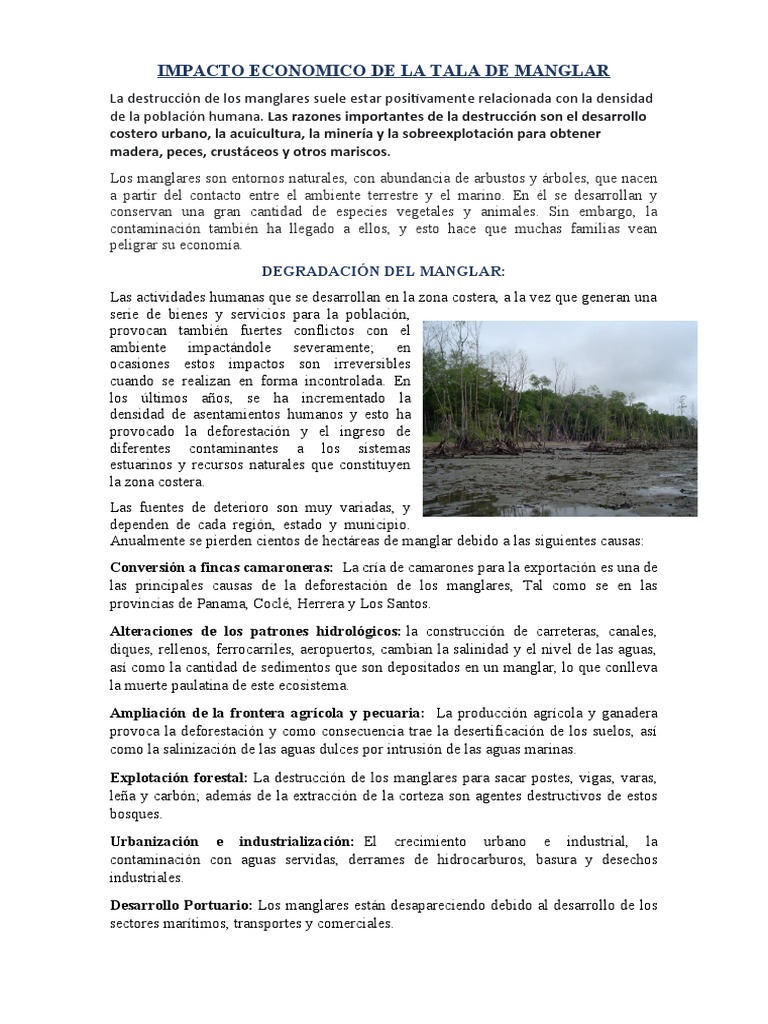 Impacto Economico de La Tala de Manglar | PDF | Deforestación | Mangle