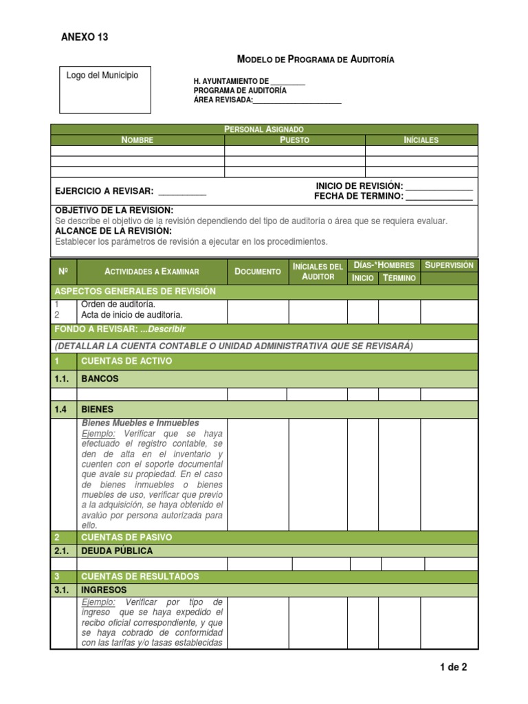 Modelo Del Programa Audito | PDF | Auditoría | Business