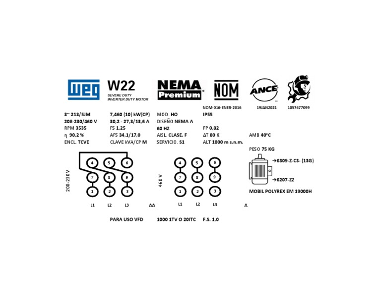 Placa de Datos Motor Weg | PDF