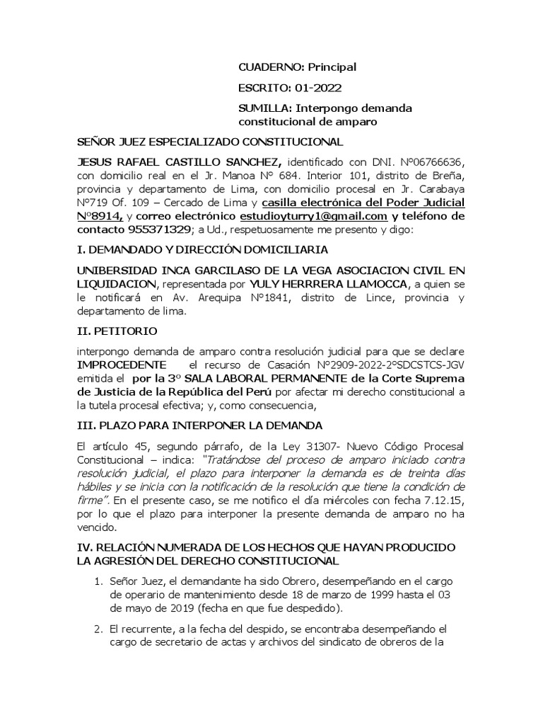 Amparo Castillo Nuevo | PDF | Demanda judicial | Derecho Constitucional