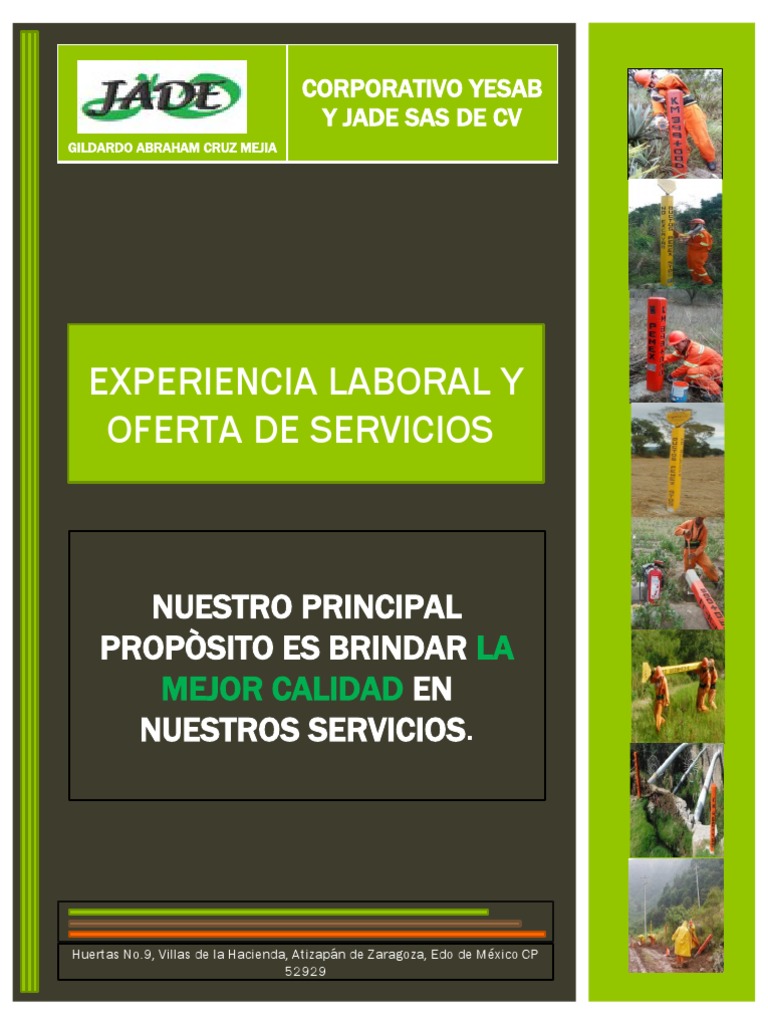 Curriculum Jade (1) .PPTM | PDF | Ingenieria Eléctrica | Ingeniería de confiabilidad