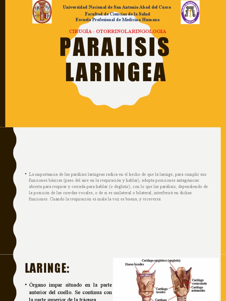 Paralisis Laringea | PDF | Laringe | Medicina CLINICA