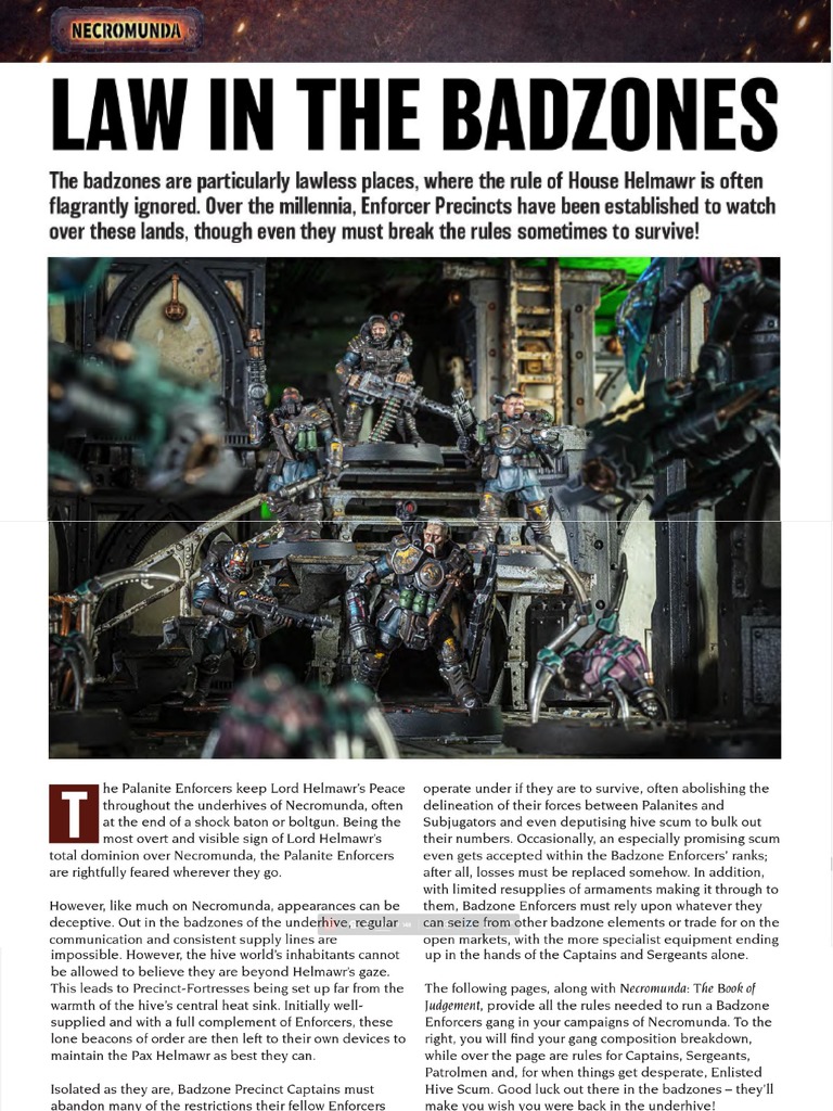 Badzone Enforces Many Pages | PDF