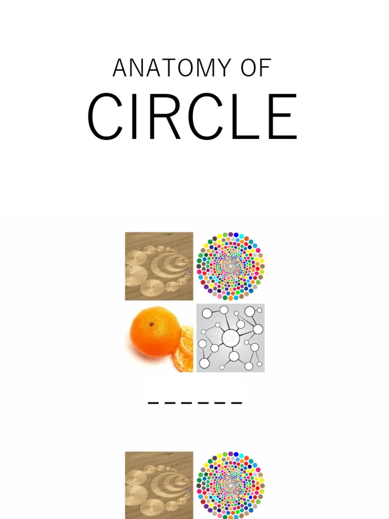 Anatomy of Circles | PDF | Circle | Angle