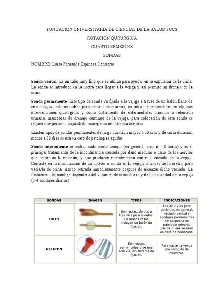 Sondas Pdf Vejiga Urinaria Enfermedades Y Trastornos