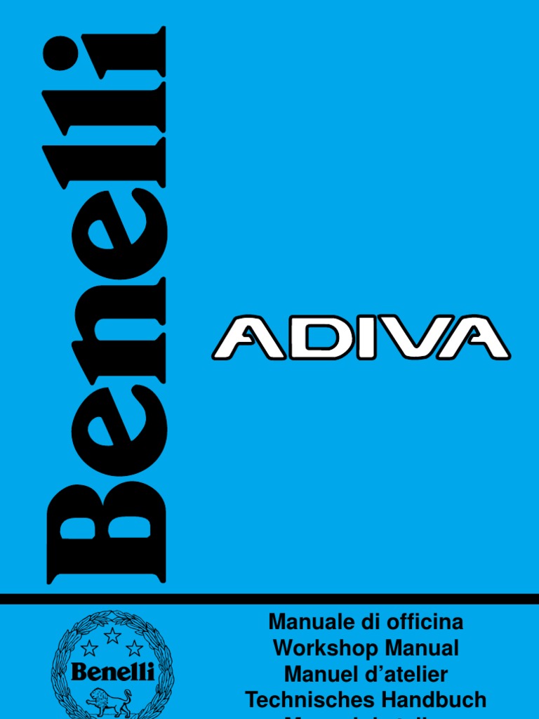 Adiva Workshop It | PDF