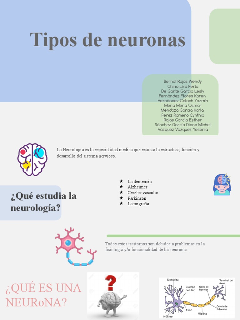 Tipos de Neuronas | PDF | Célula piramidal | Sinapsis