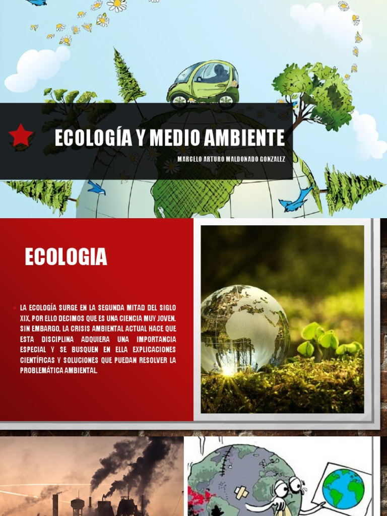 Ecología y Medio Ambiente | PDF | Ecología | Entorno natural