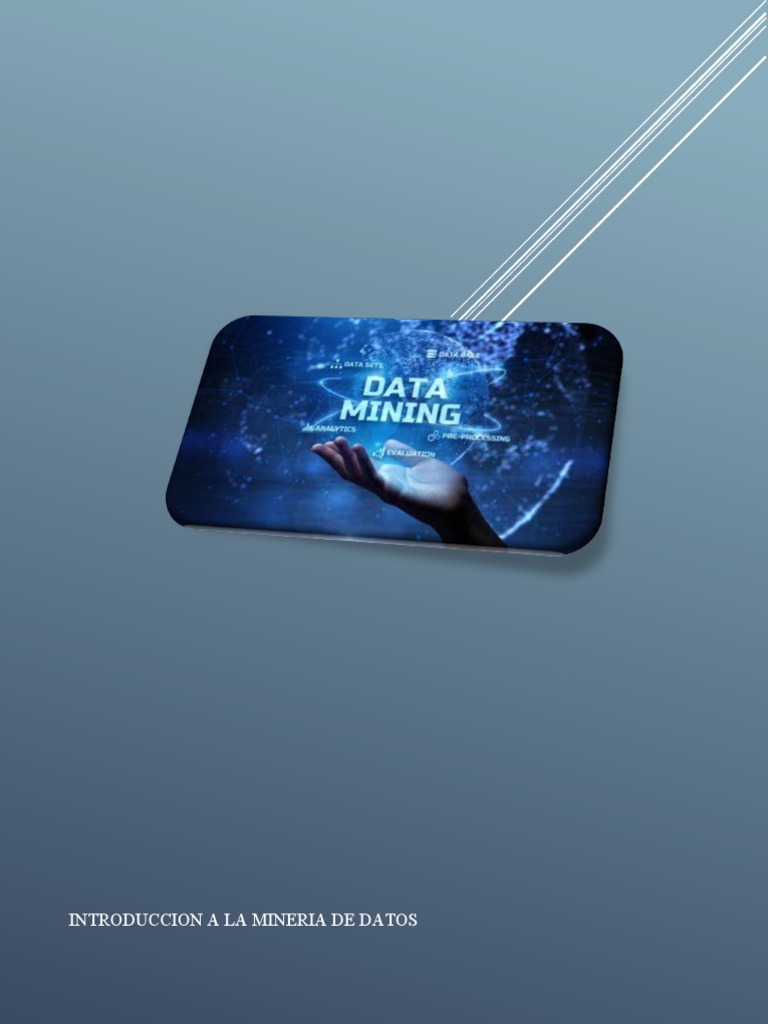 Introduccion A La Mineria de Datos | PDF | Procesamiento de datos | Análisis de los datos