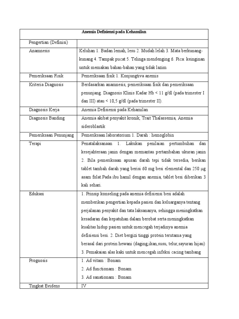 PPK Anemia Pada Kehamilan | PDF