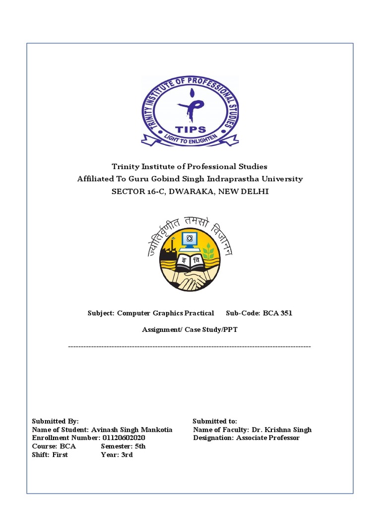 Computer Graphics Practical File For College | PDF | Graphics | Geometry