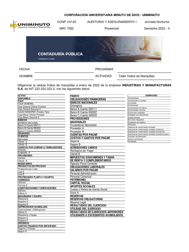 Cedula Auditoria | PDF | Bancos | Economias