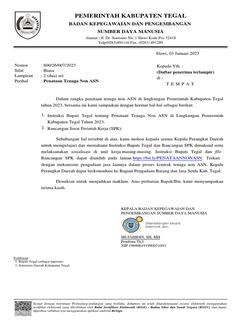 Surat Penataan Tenaga Non ASN 2023 | PDF