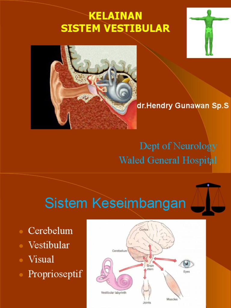 Kuliah Vestibular Pdf
