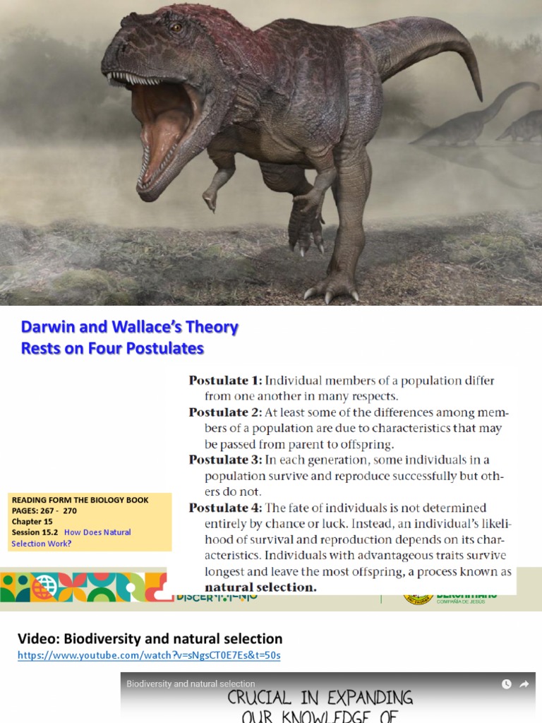 Presentation Evidence of Evolution 9th Grade | PDF | Homology (Biology ...