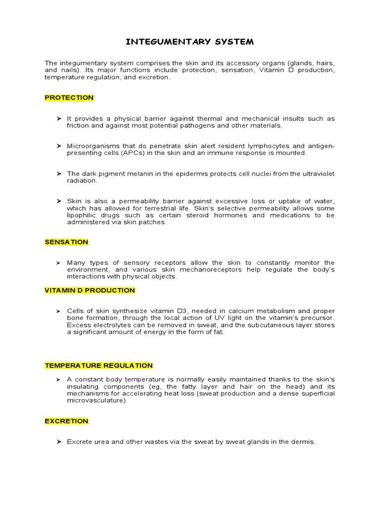 Integumentary System | PDF | Epidermis | Skin