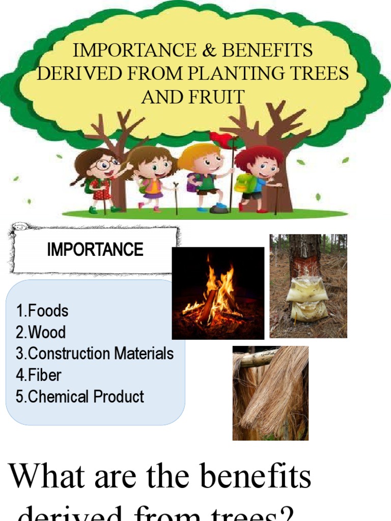 HELE 6 Importance and Benefit Derived From TreesGrade 6 | PDF