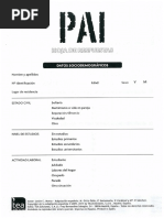 Manual de Interpretación PAI Completo | PDF