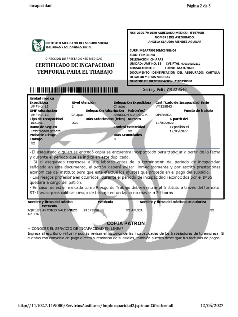 Incapacidad Imss Editable | PDF