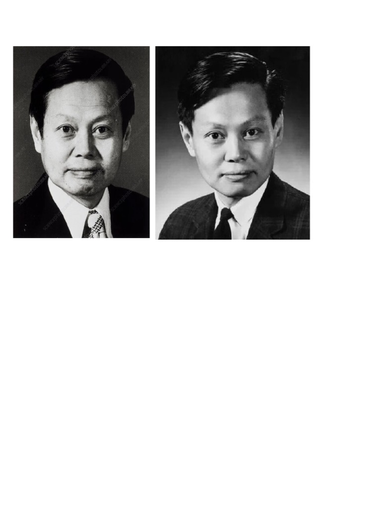 Chen Ning Yang Fisico | PDF