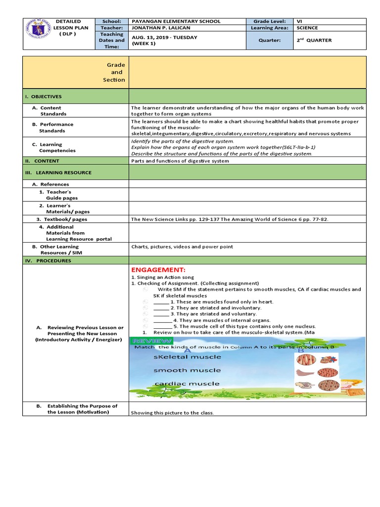 Cot DLP Digestive System 1 | PDF | Digestion | Skeletal Muscle