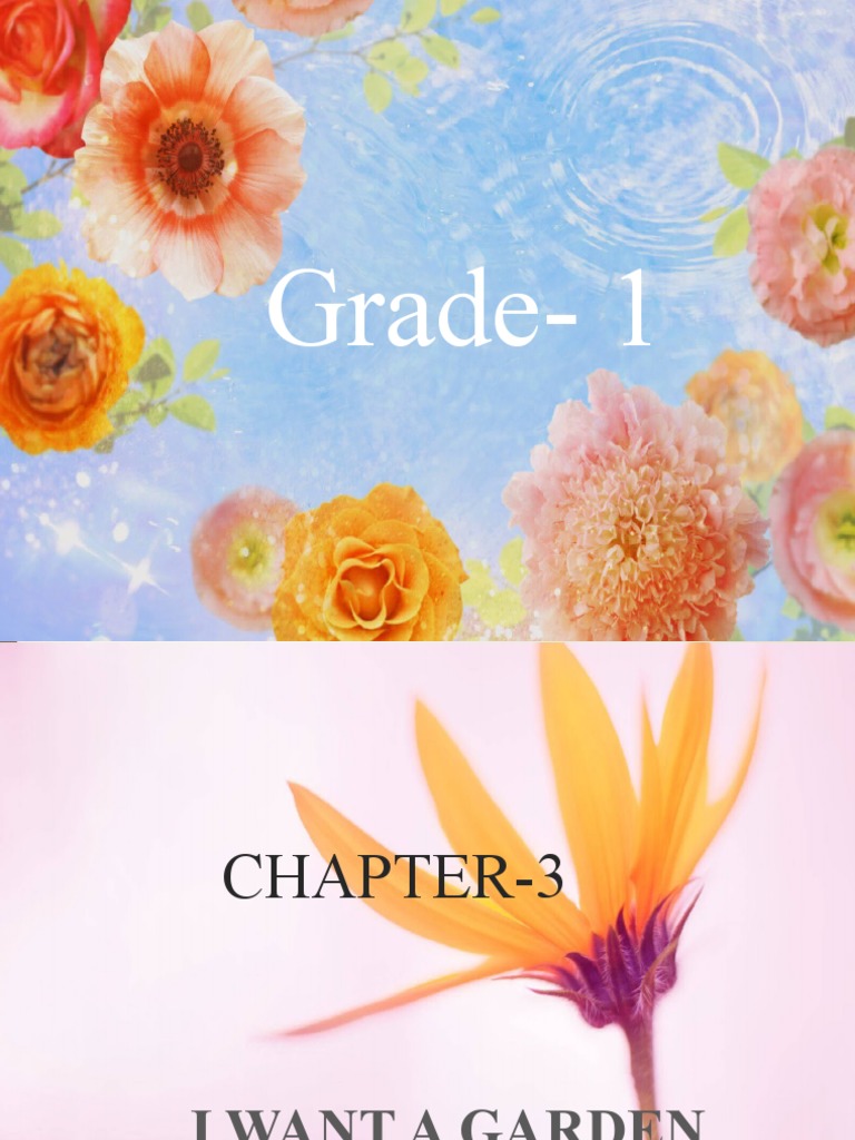 My Garden Class 1 | PDF | Plants | Botany