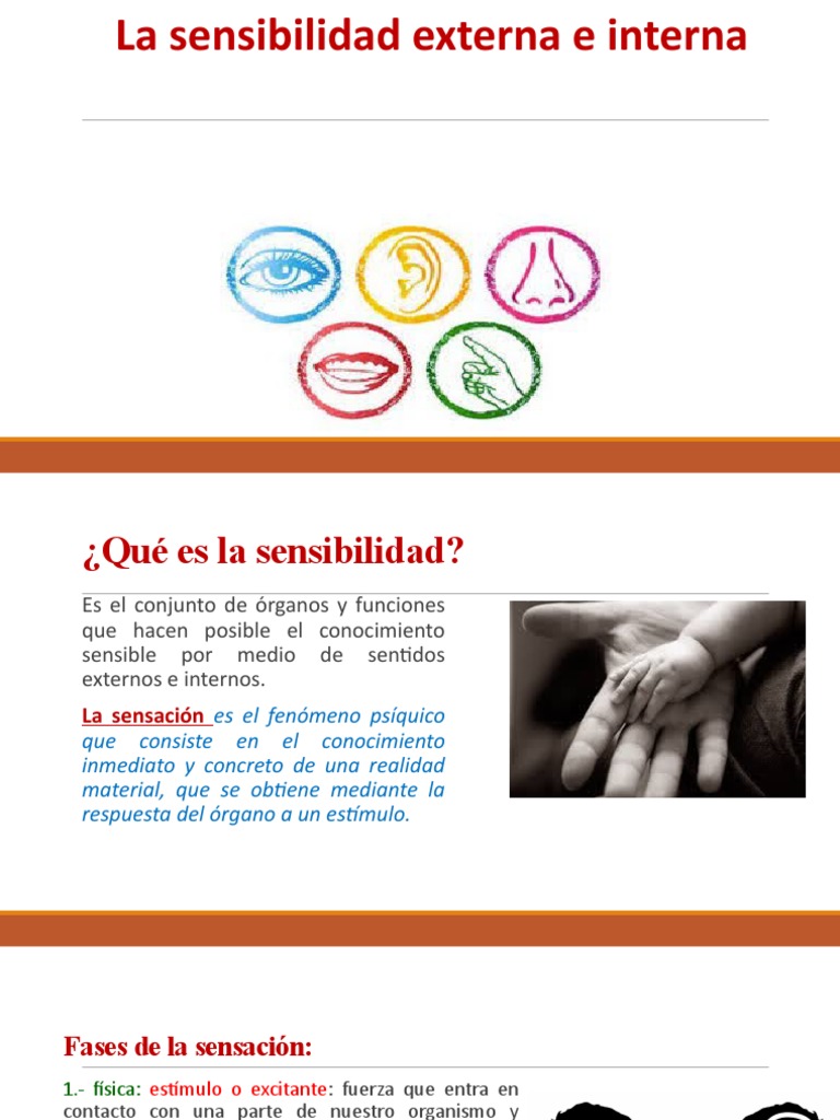 El Conocimiento Sensible | PDF | Conocimiento | Ciencia cognitiva