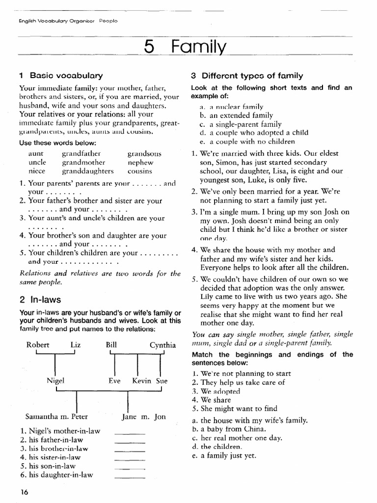 Vocabulary Unit 5 and 6 | PDF