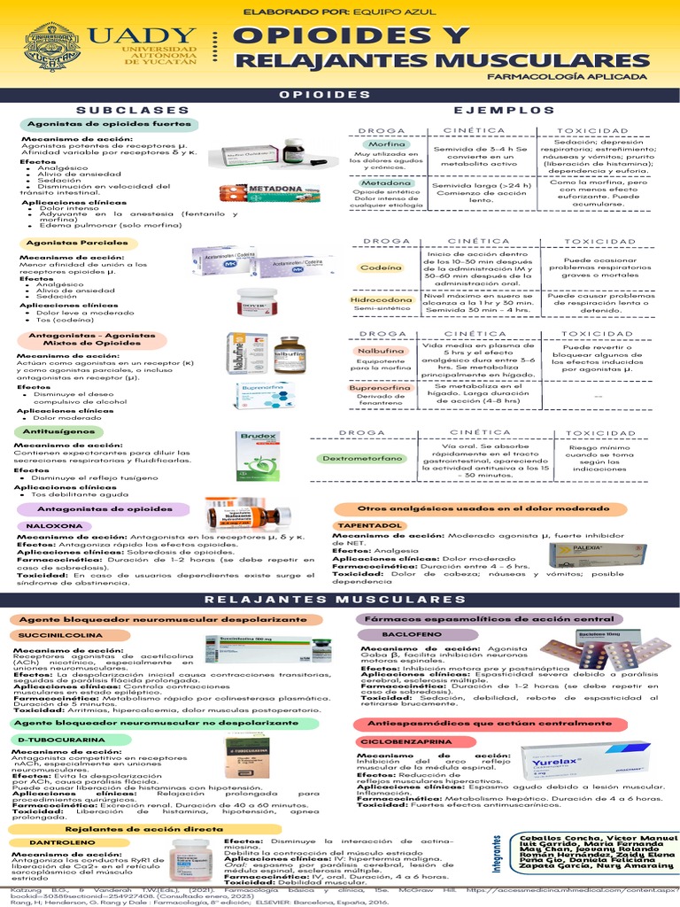 Opioides y RM - EQ Azul | PDF | Opioide | Drogas