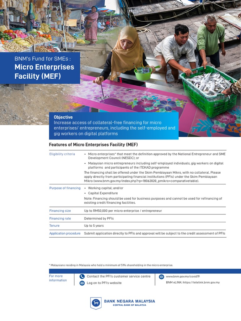 Features of Micro Enterprises Facility MEF | PDF