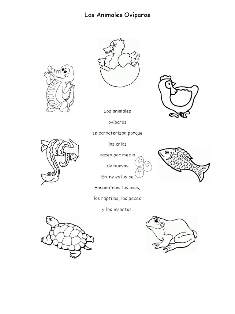 Los Animales Ovíparos | PDF