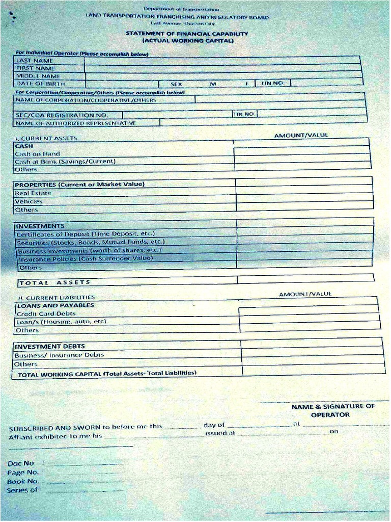 Statement of Financial Capability | PDF
