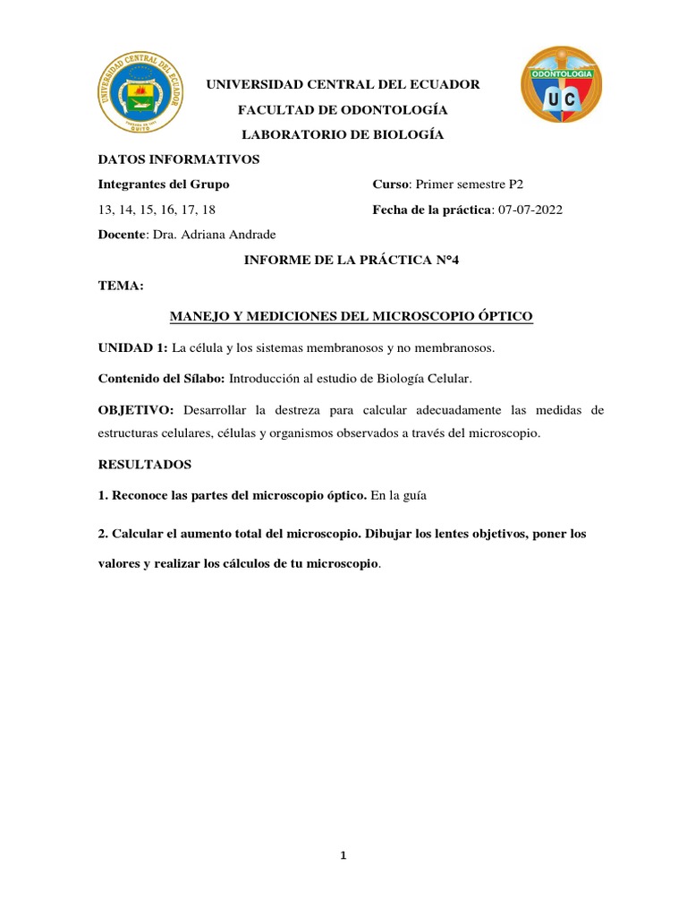 Informe 4 Informe 5 | PDF