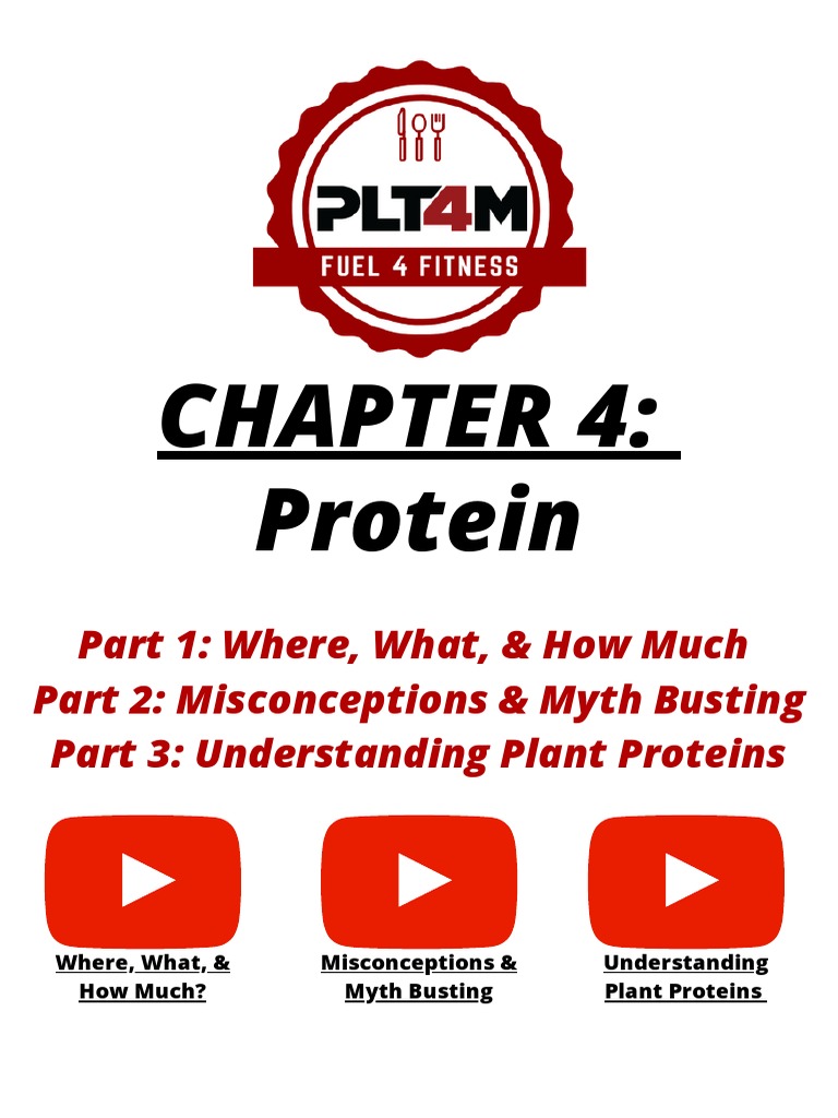 Understanding Protein: Sources & Myths | PDF | Foods | Nutrients