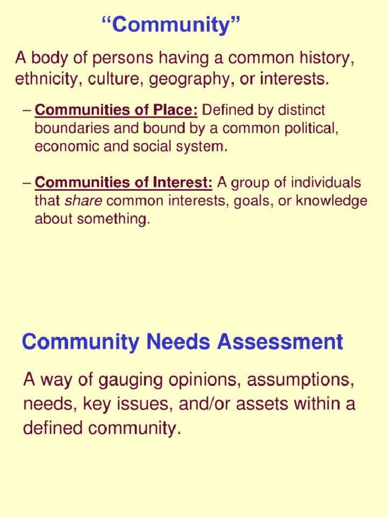 Community Need Assessment | PDF