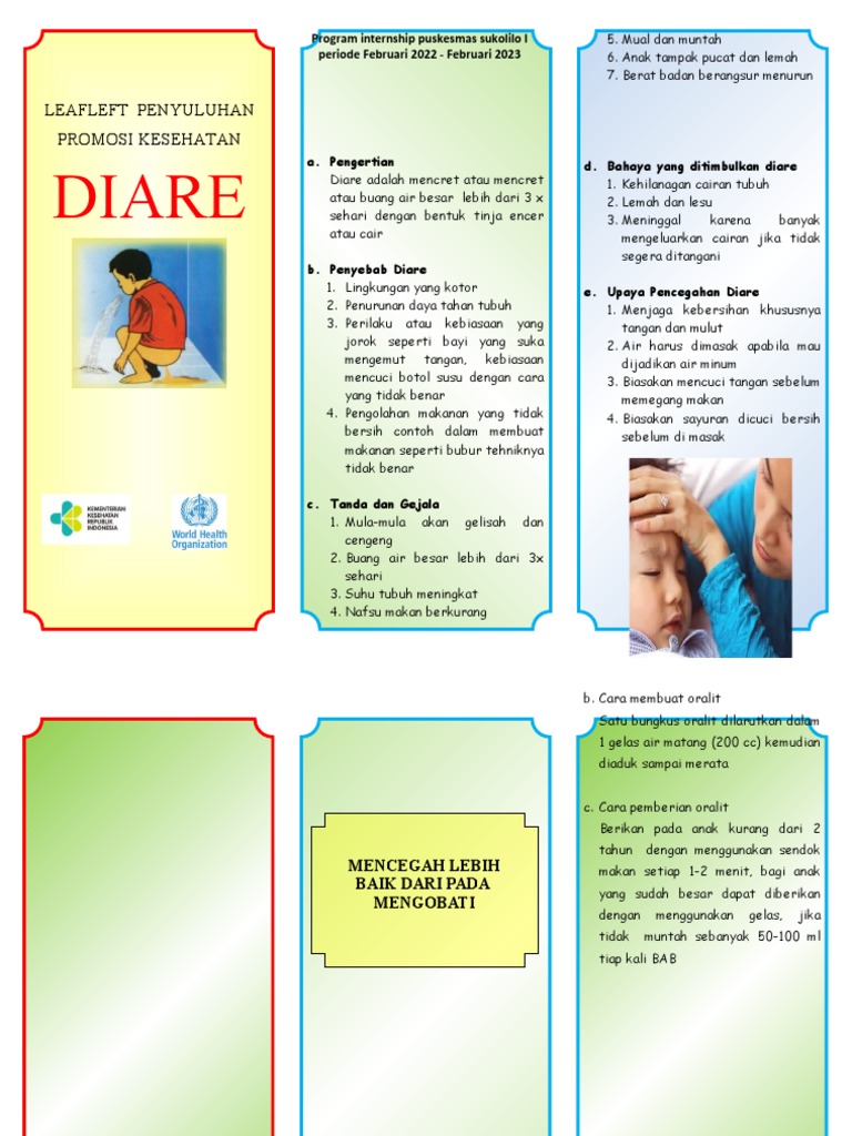 Leaflet Minipro | PDF