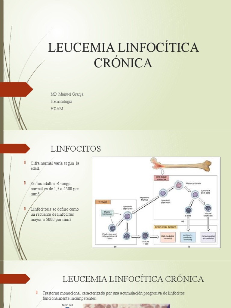 Leucemia Linfocítica Crónica | PDF | Leucemia | Especialidades Medicas