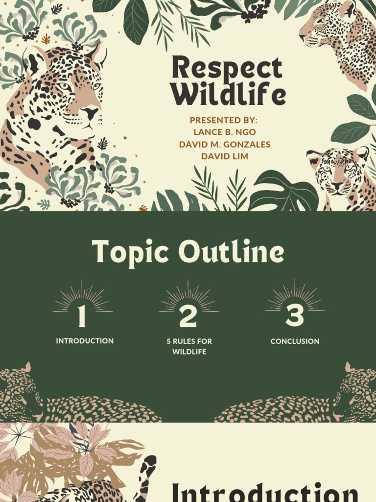 Wildlife Respect: 5 Essential Rules | PDF | Wellness