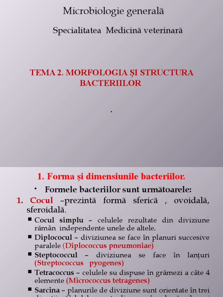 Structura Bacteriilor | PDF
