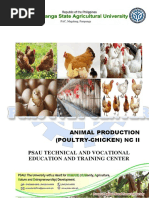 Different Types of Philippine Native Chicken | PDF | Chicken | Agriculture