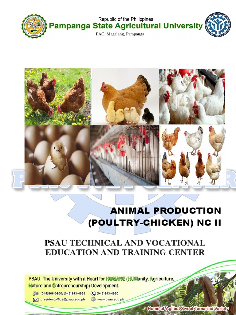 Lecture Poultry Chicken NC Ii | PDF | Chicken | Disinfectant