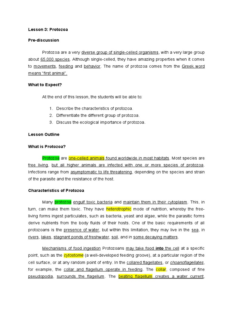 Chapter 3 Lesson 3 Protozoa | PDF | Protozoa | Sewage Treatment